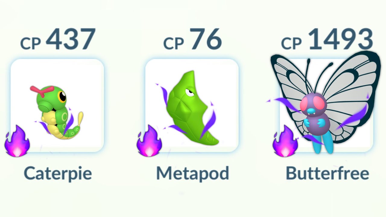 using Shadow (Caterpie, Metapod, Butterfree) Evolutionary Line in ...