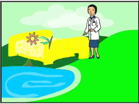 MAZLUME KARAÇOR ÇİÇEK VE SUYUN AŞKI