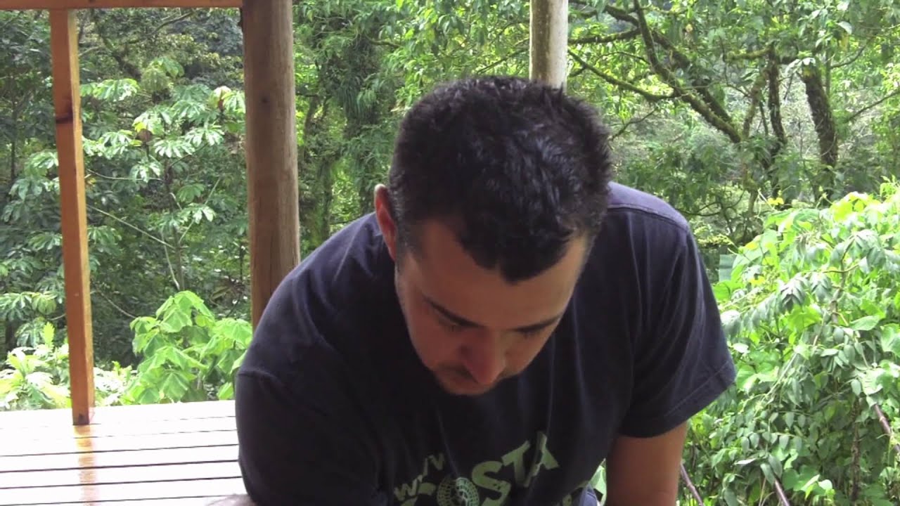 Moon Frogs: What Are They All About? - YouTube