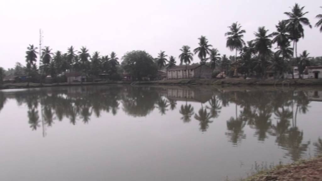 Fish Farm in andhra pradesh - YouTube