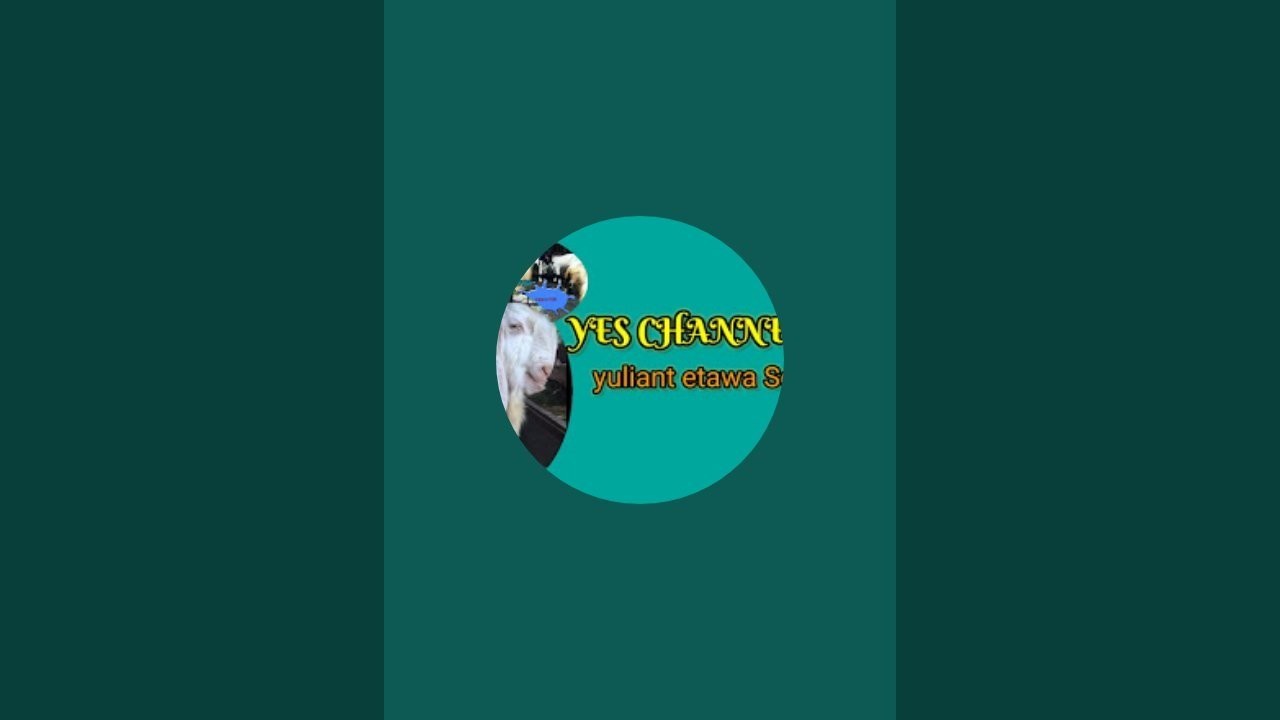 Review HARGA KAMBING SENDURO PE KALIGESING - YouTube