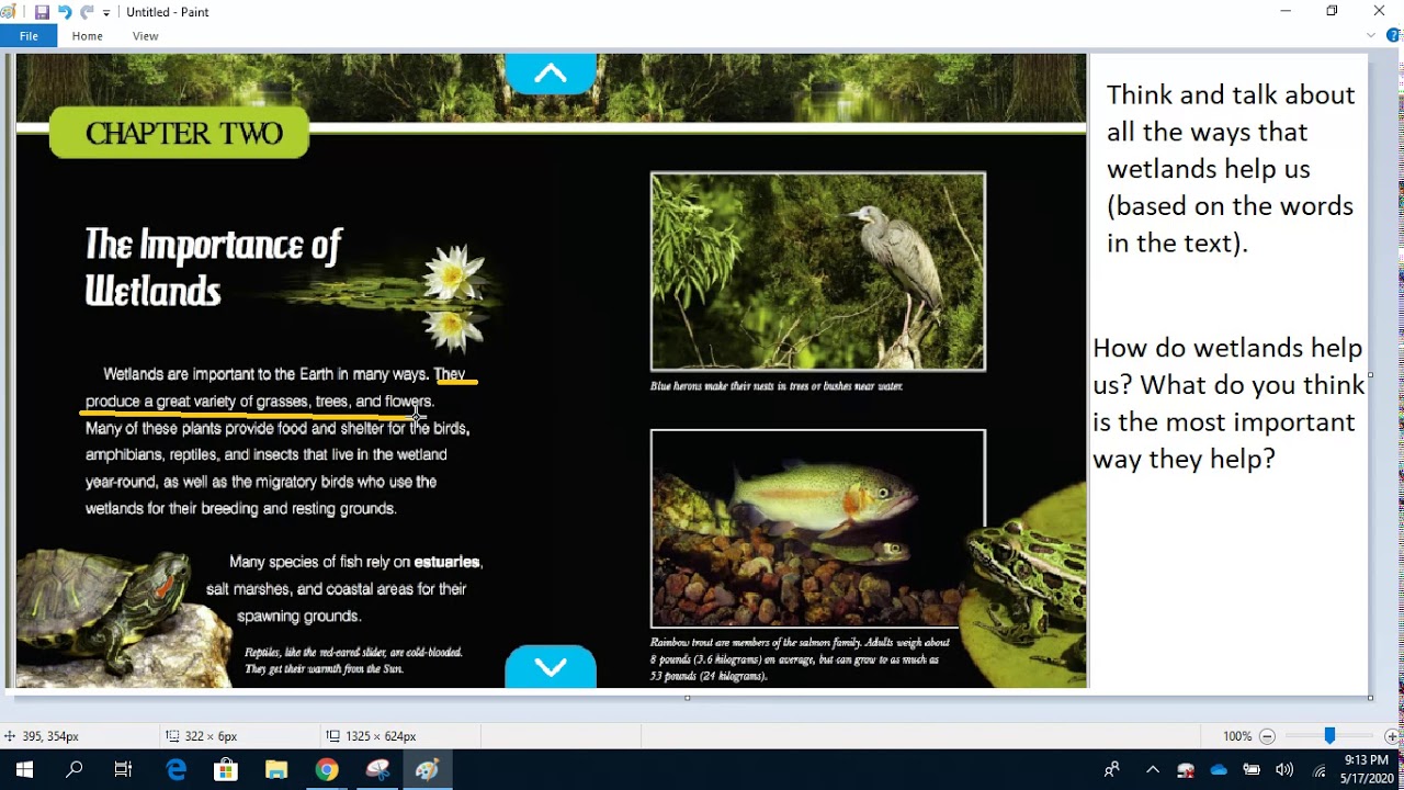 5/20/2020 Module Lesson - YouTube