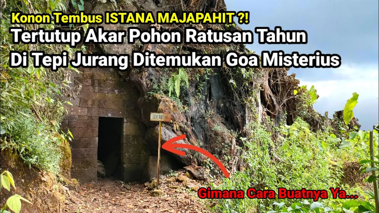Tertutup Akar Ratusan Tahun di Tepi Jurang, Ditemukan Goa Misterius ...