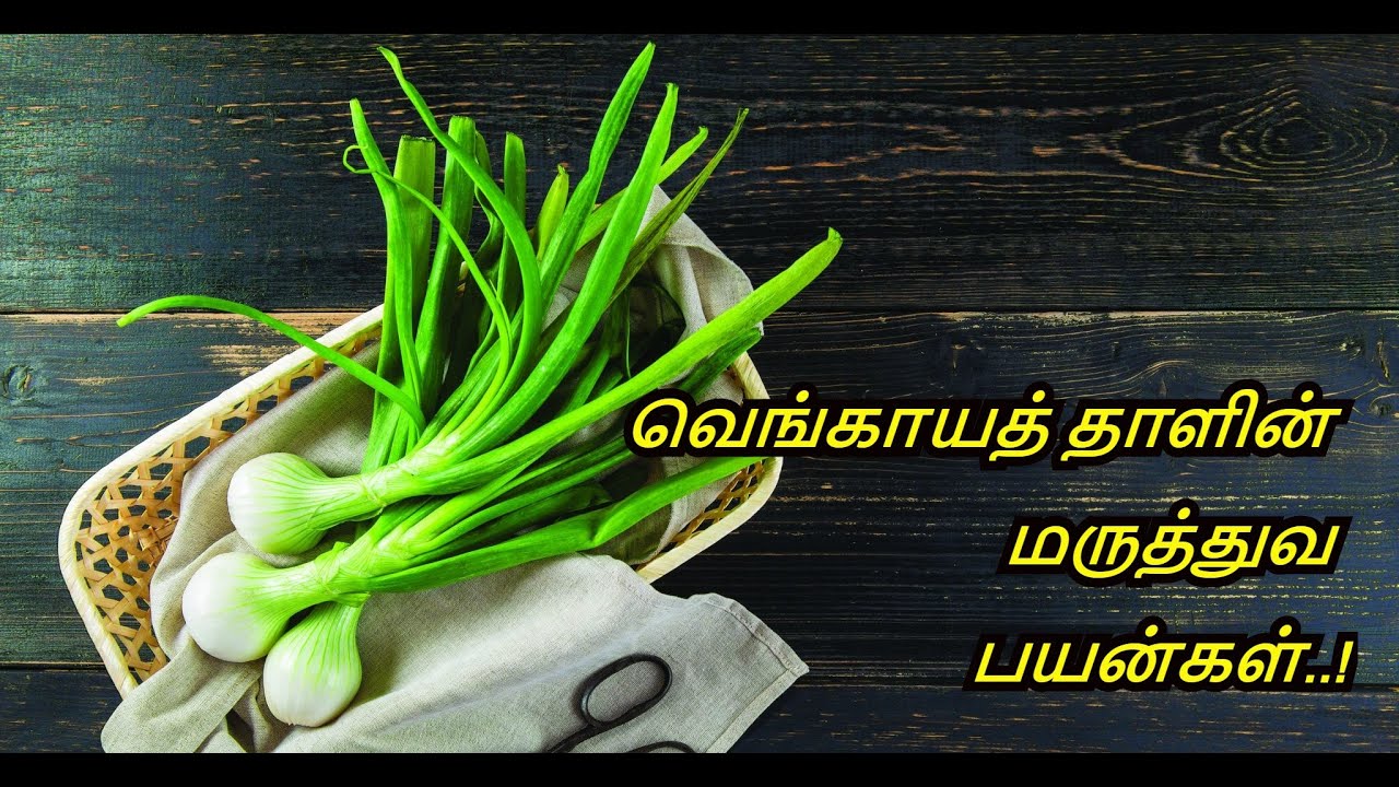Health Benefits Of Spring Onions In Tamil Vengaya Thal Benefits health-benefits-of-spring-onions-in-tamil-vengaya-thal-benefits