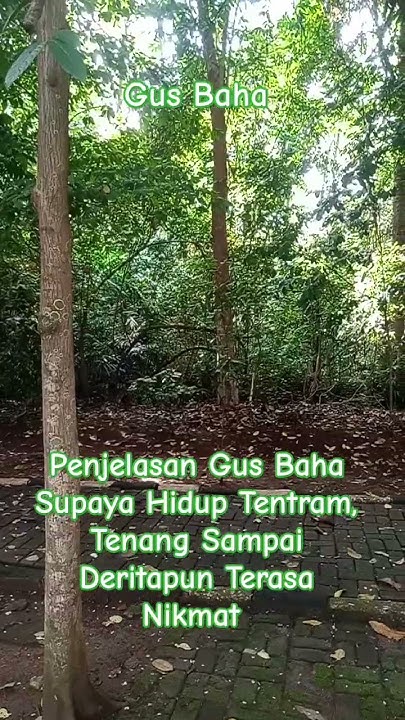 Penjelasan Gus Baha Supaya Hidup Tentram Tenang sampai deritapun terasa Nikmat // Gus Baha - YouTube