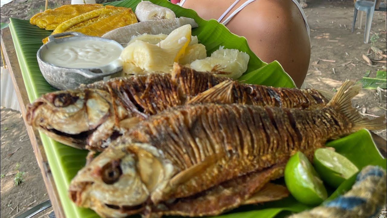 Bocachico frito vamos a comer - YouTube