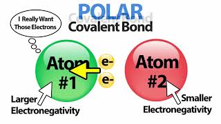 Polar vs Non-Polar Covalent Bonding - Clearly Explained | Doovi