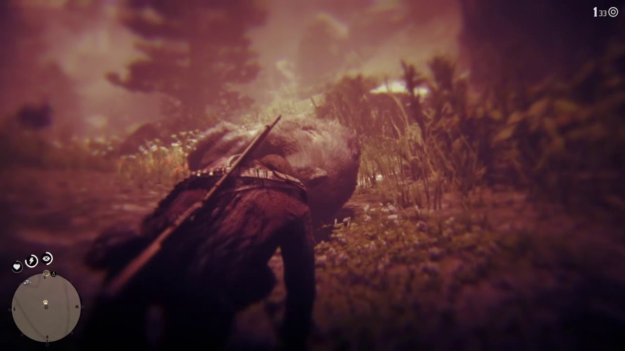 OSO PARDO LEGENDARIO LOCALIZACION Red Dead Redemption 2 RDR2 GAMEPLAY ...