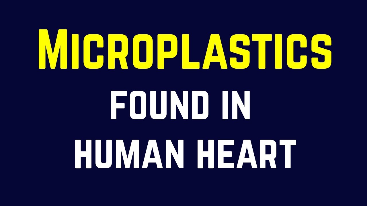 Microplastics found in human heart tissues, both before and after ...