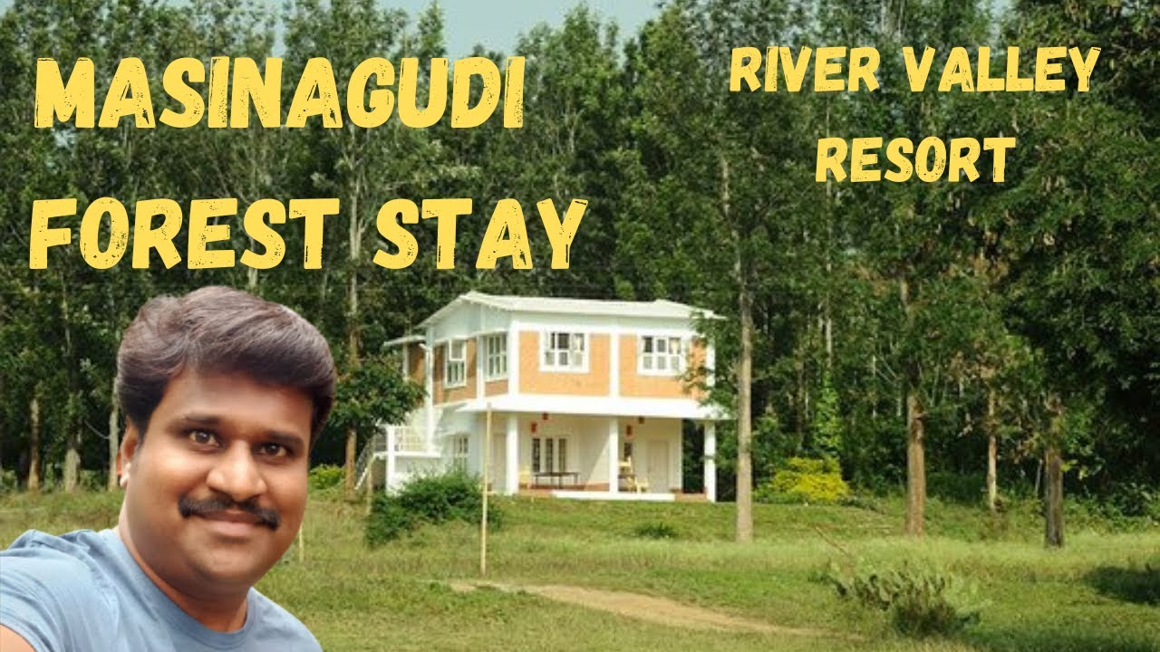 🔥River valley resort || Masinagudi || Forest stay #vinothvlog - YouTube