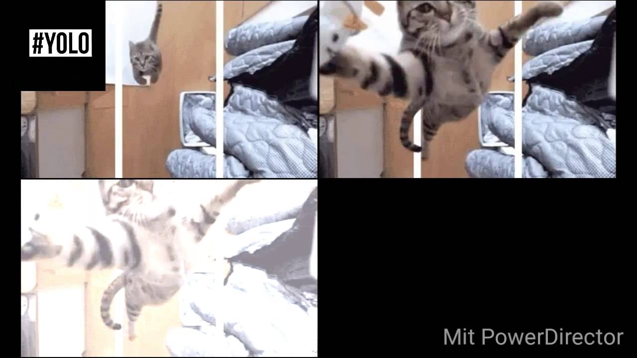 Yooloo Yooloo hat einen neuen Test - YouTube