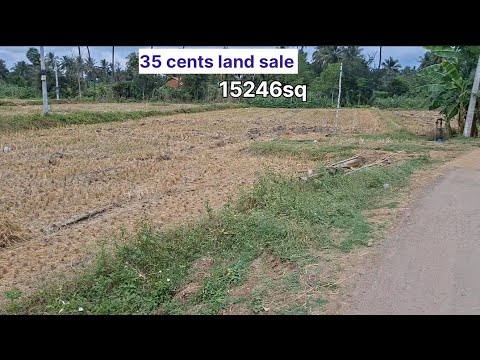 35 cents land sale (15246Sq) - YouTube