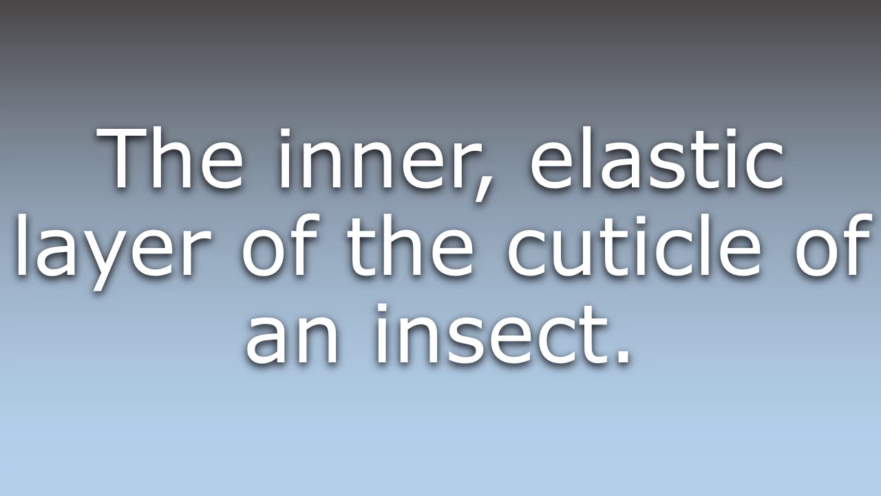 What does Endocuticle mean? - YouTube