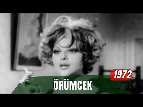 Örümcek | Hüseyin Zan - Hülya Darcan Siyah Beyaz Eski Türk Filmi