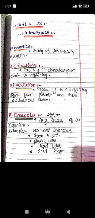 Introduction to inheritance - YouTube