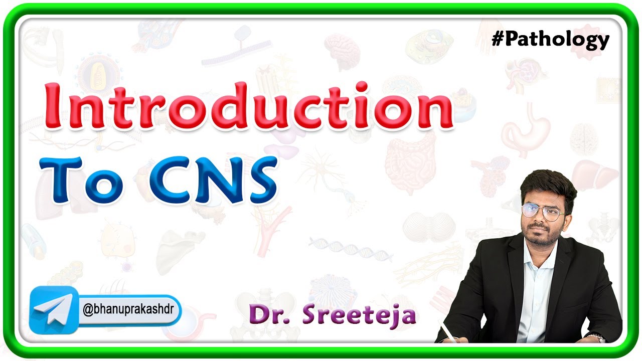 1. Introduction To CNS Pathology | USMLE Step 1🧠💡 - YouTube