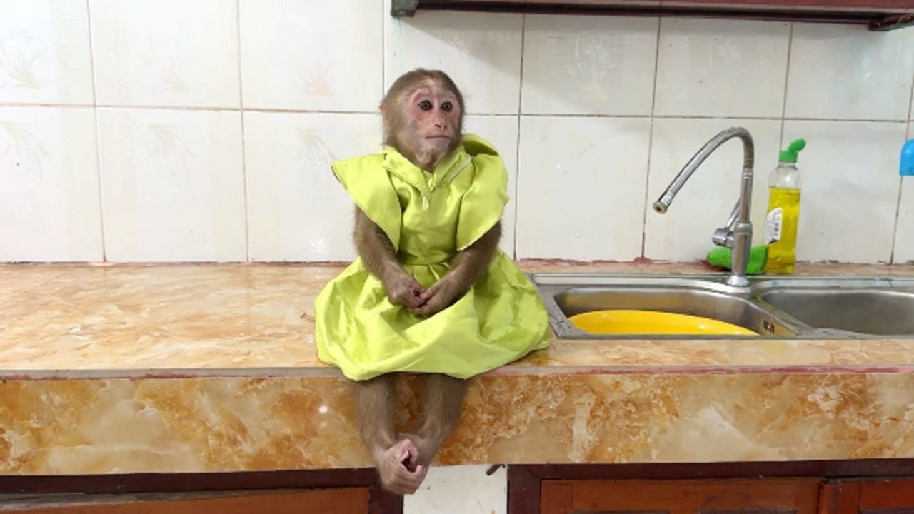 Awesome Queen Chichi Sit Modestly In Disciplnee Wait For Fruits - YouTube