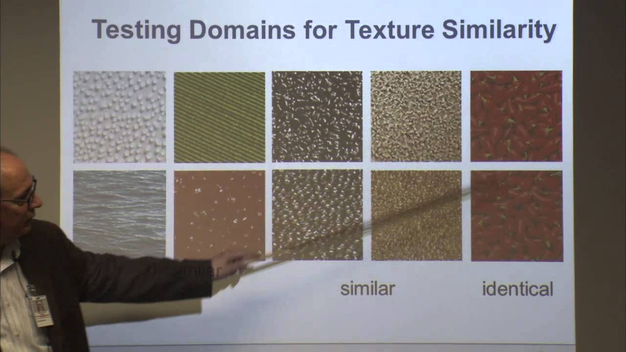 2015 CASIS Workshop: 'Visual Texture Analysis: From Similarity to ...