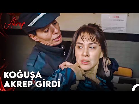 Düşmansız Hava Sahası Yok - Akrep 12. Bölüm