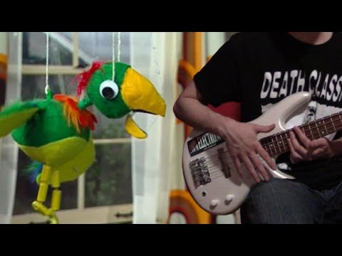 Primus - Year of the Parrot (4-String Drop D Bass Lesson) - YouTube