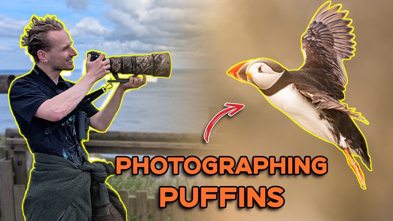 Photographing PUFFINS & More at RSPB Bempton Cliffs - YouTube