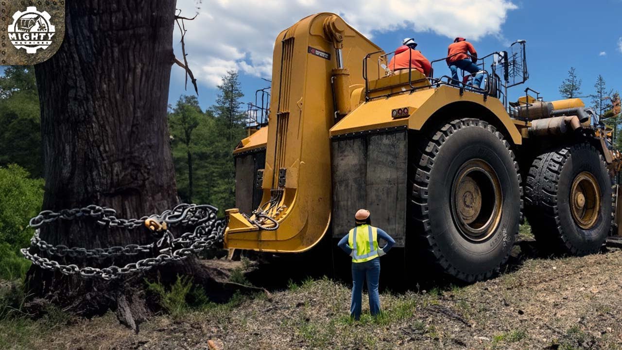 100 Insane Powerful Machines & Heavy-Duty Attachments Unveiled: Jaw ...