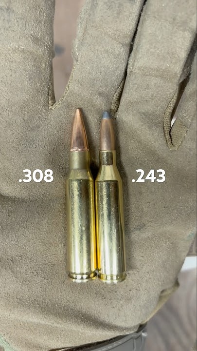 .308 vs .243 Win Size Comparison - YouTube
