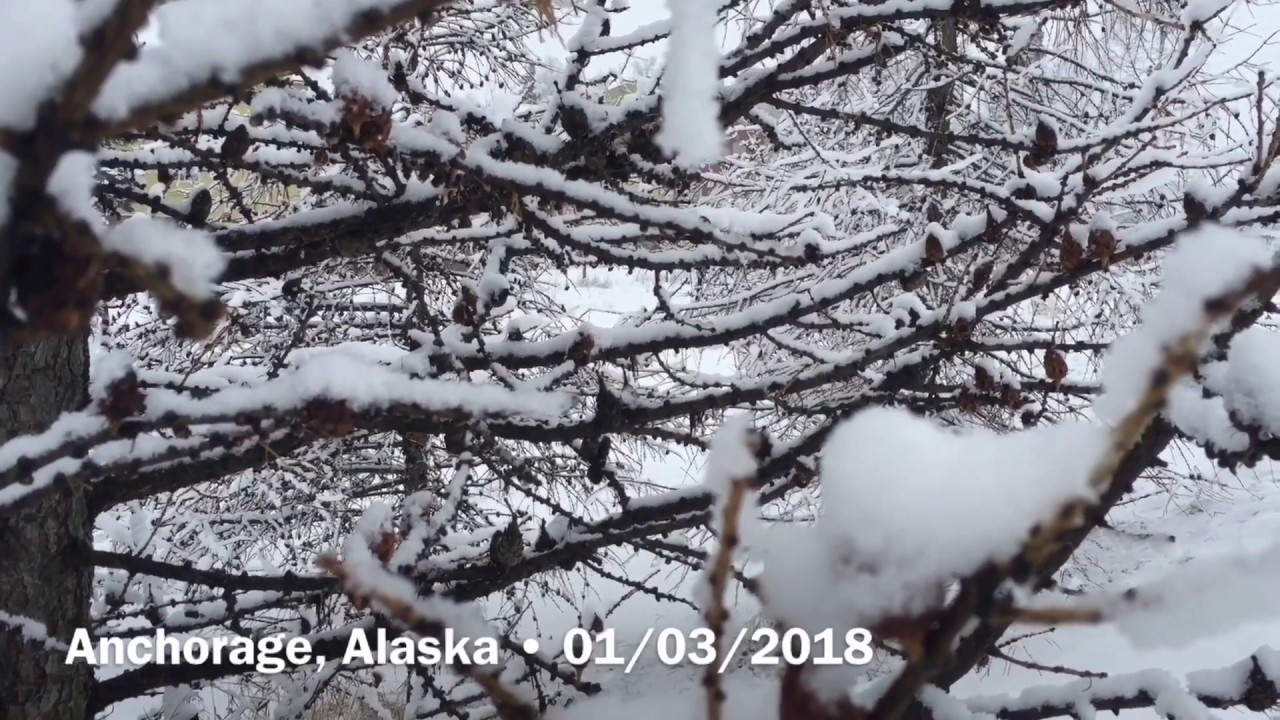 Mount Pagan by Chamolinian (Alaska 2018) - YouTube