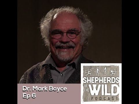 Ep. 6 - Mark Boyce - Wildlife Biologist, Wildlife Population Ecologists - YouTube