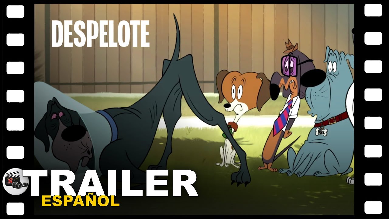 📺 DESPELOTE | ANIMACION TRAILER ESPAÑOL | 13 Agosto/25 - NETFLIX - YouTube