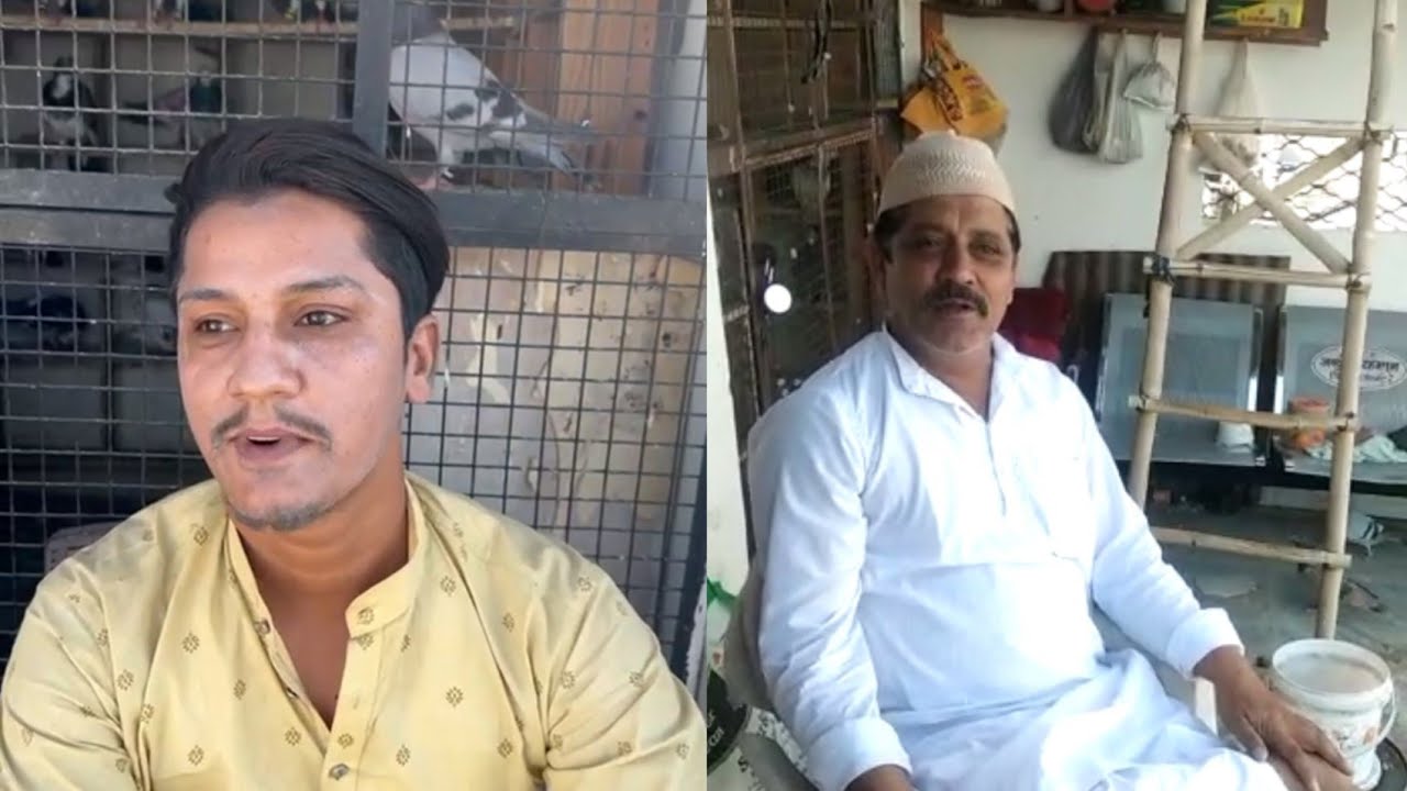 दाऊद khalifa ke shagird ne di Usman khalifa fo daud ki awaz - YouTube