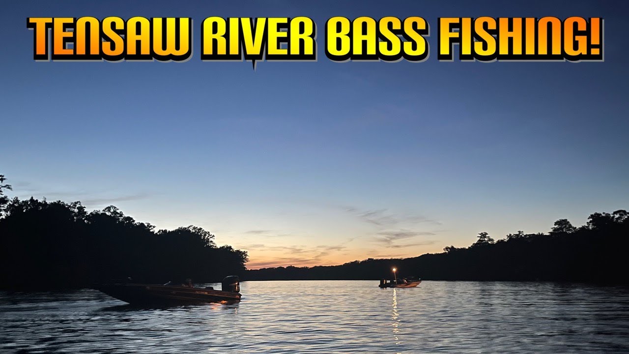 Bass Fishing the Tensaw River! Big Fish! (Mobile River Delta) - YouTube