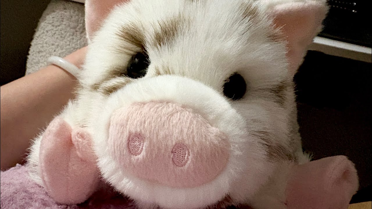 Unboxing Douglas Cuddle Levi DLux Brown Spotted Pig and with my ...