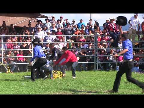 JARIPEO TRAILER