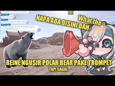 Kaget ada Polar Bear. Reine coba ngusir tapi dengan Trompet - YouTube