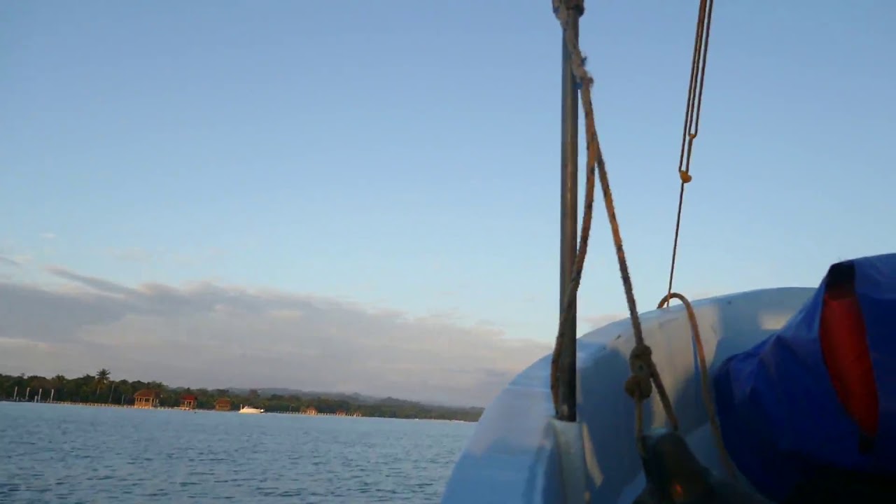 Img 0392 Mp4 Youtube