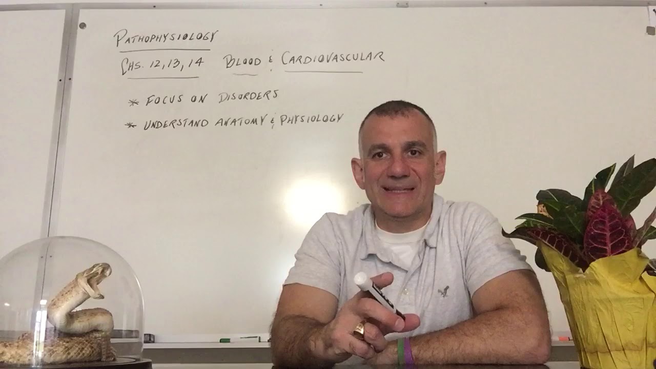 Mr. Spano Pathophysiology Chapters 12, 13, 14 Intro - YouTube