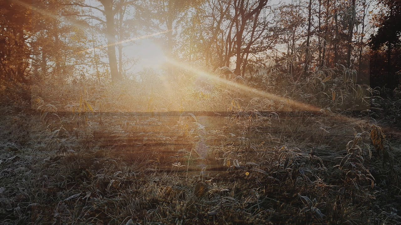 Yotzeir Or (Alexander Massey) - YouTube