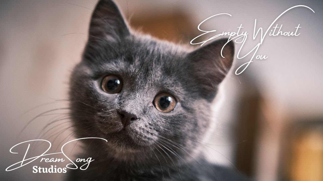 Empty Without You (Original Song) - YouTube