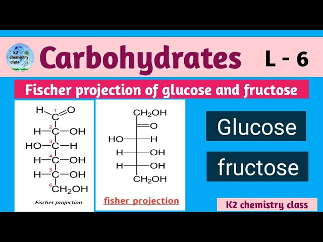 L Glucose Fischer Projection Fischer Projection Png Images | PNGEgg