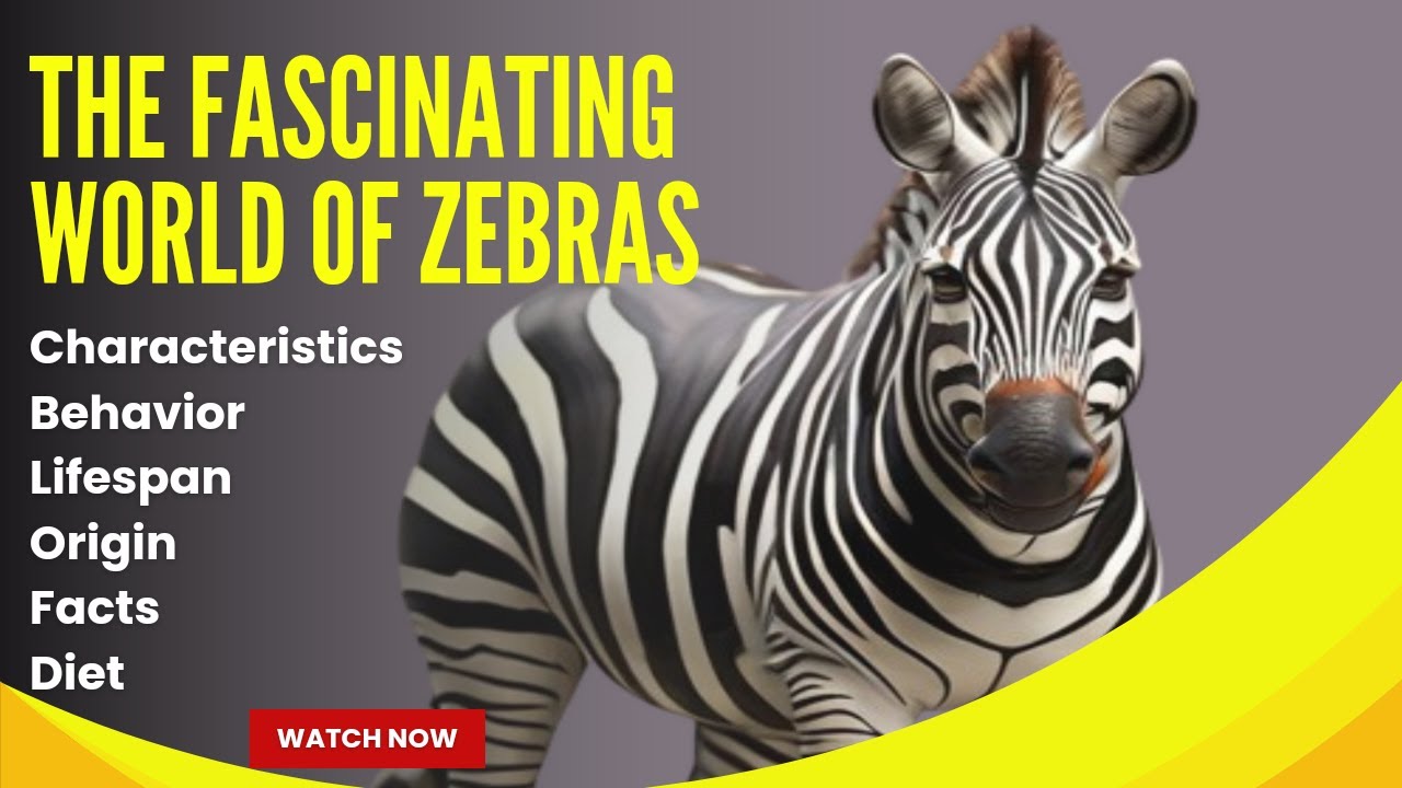 The Fascinating World of Zebras: A Comprehensive Exploration of their ...
