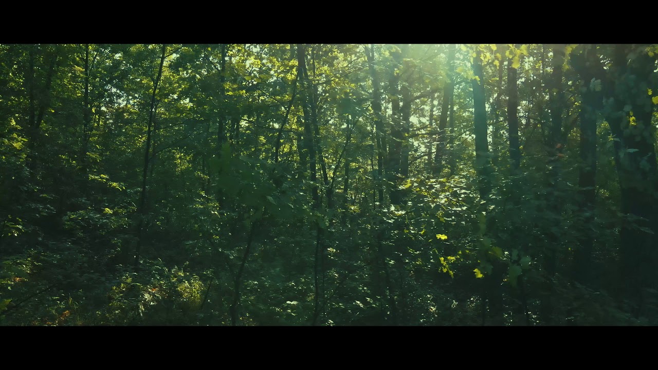 Ozren movie - YouTube