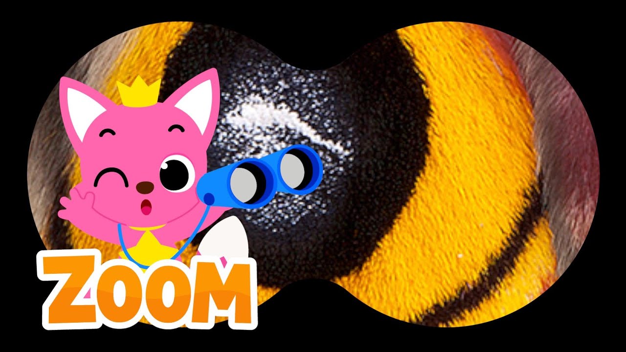 Bugs Puzzle with Pinkfong | Guess the Bugs | Zoom Zoom Zoom | Learn ...