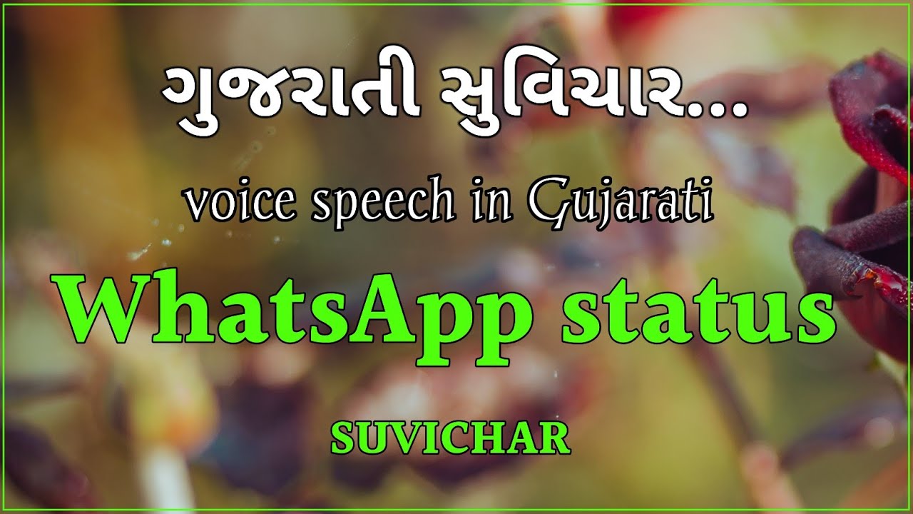Gujarati suvichar status video || સુવિચાર || Suvichar || gujarati ...