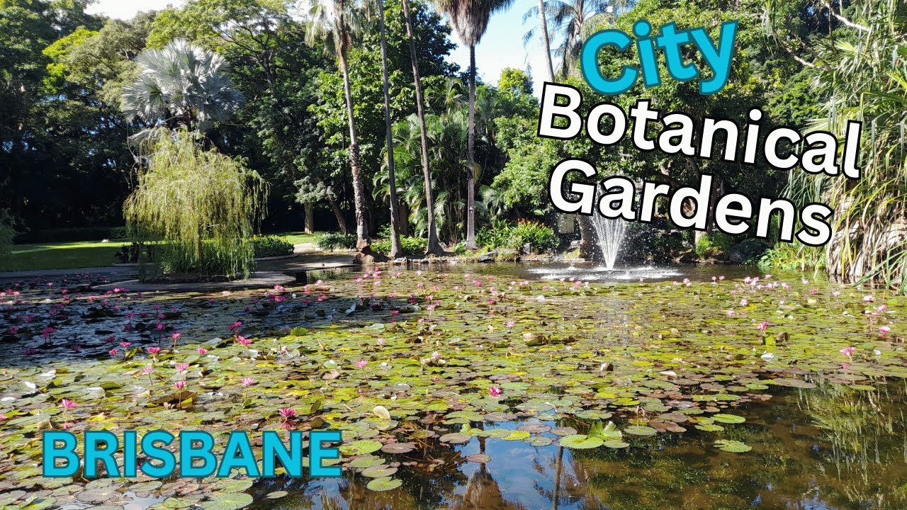 Brisbane City Botanical Gardens walking tour | Things to do in Brisbane ...