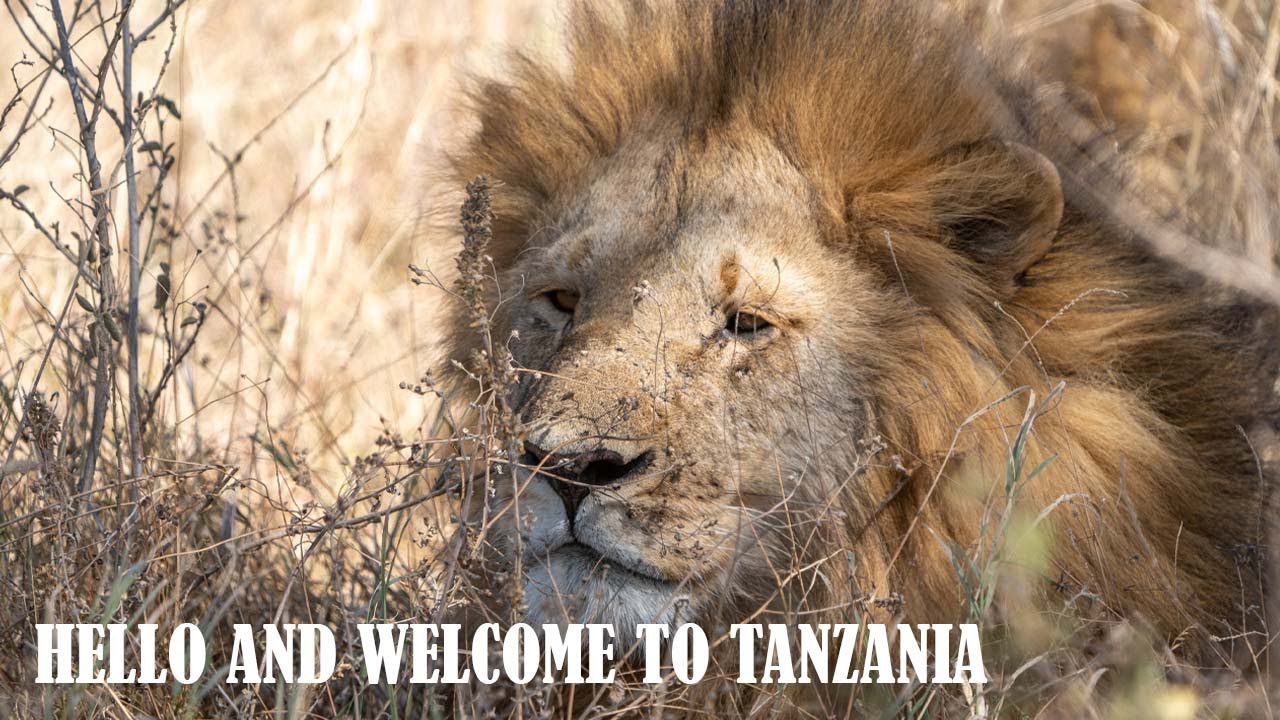 HELLO AND WELCOME TO TANZANIA - YouTube