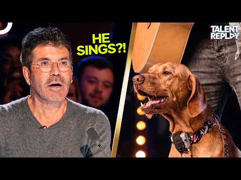 This Dog Started Singing... And Nobody Could Believe It | Britain's Got Talent