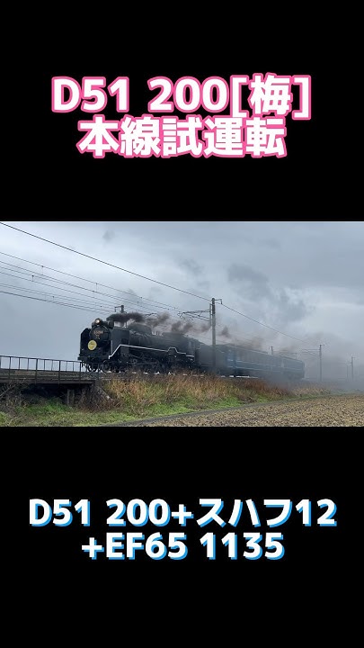 【爆煙で通過！】D51 200[梅] 本線試運転 EF65 1135[関]+D51 200[梅]+スハフ12 129 #shorts #試運転 #d51 #蒸気機関車 #d51200 #jr西 ...