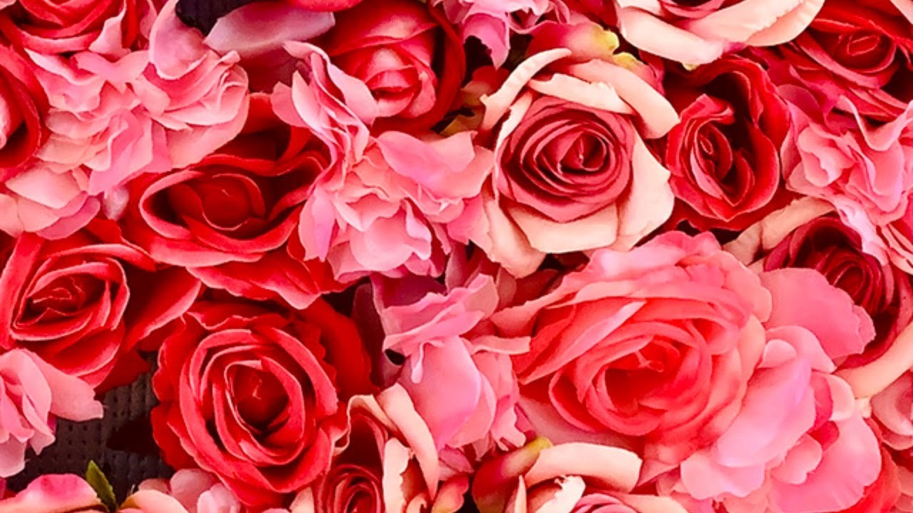 Rose Kinder Garten School Live English & Science Class - YouTube