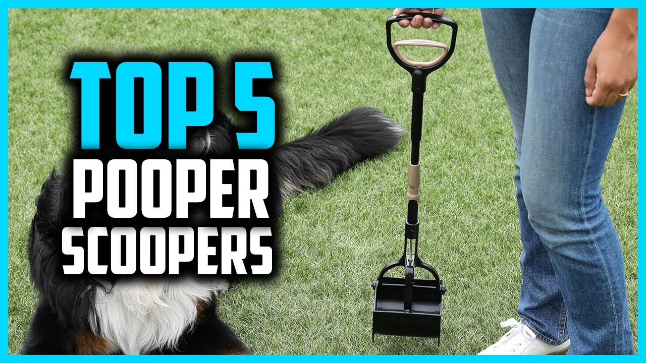 Top 5 Best Pooper Scoopers in 2025 - YouTube